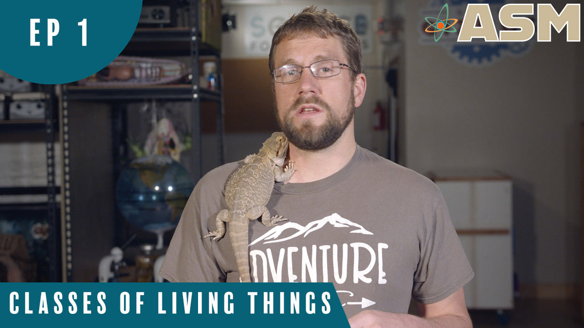 Science Foundations: Classifications of Living Things (101) Download ...