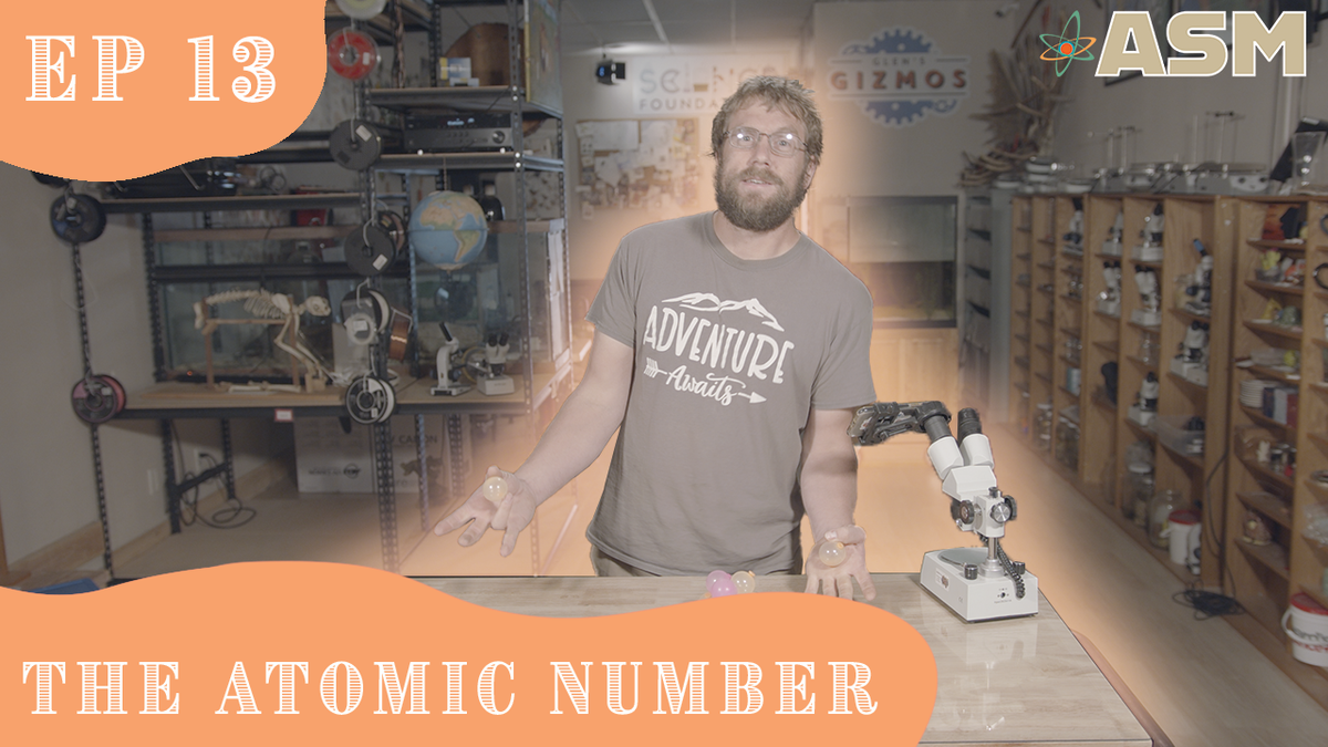 Science Foundations: The Atomic Number (313) Download – Awesome Science Media Store