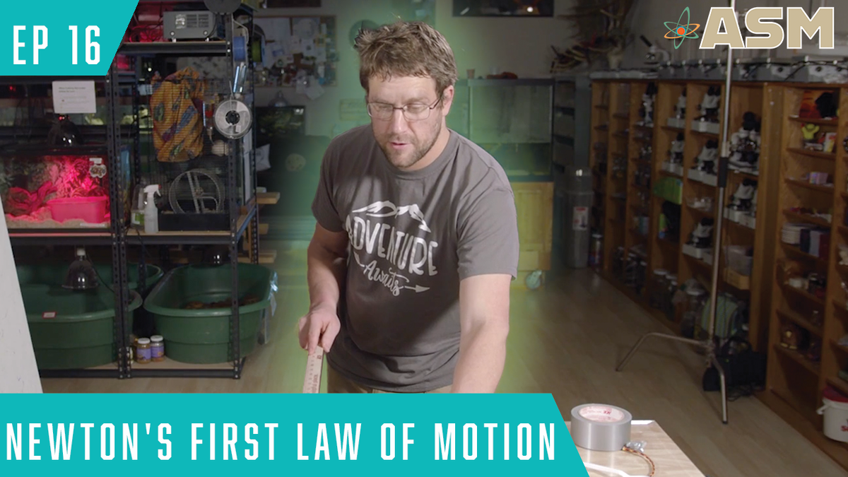 Science Foundations: Newton's First Law of Motion (216) Download ...